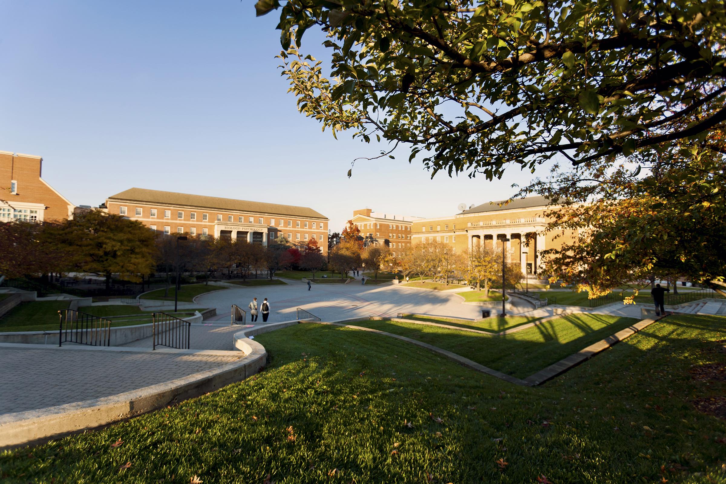 Neuroscience Minor | PSYC | Psychology Department | University of Maryland